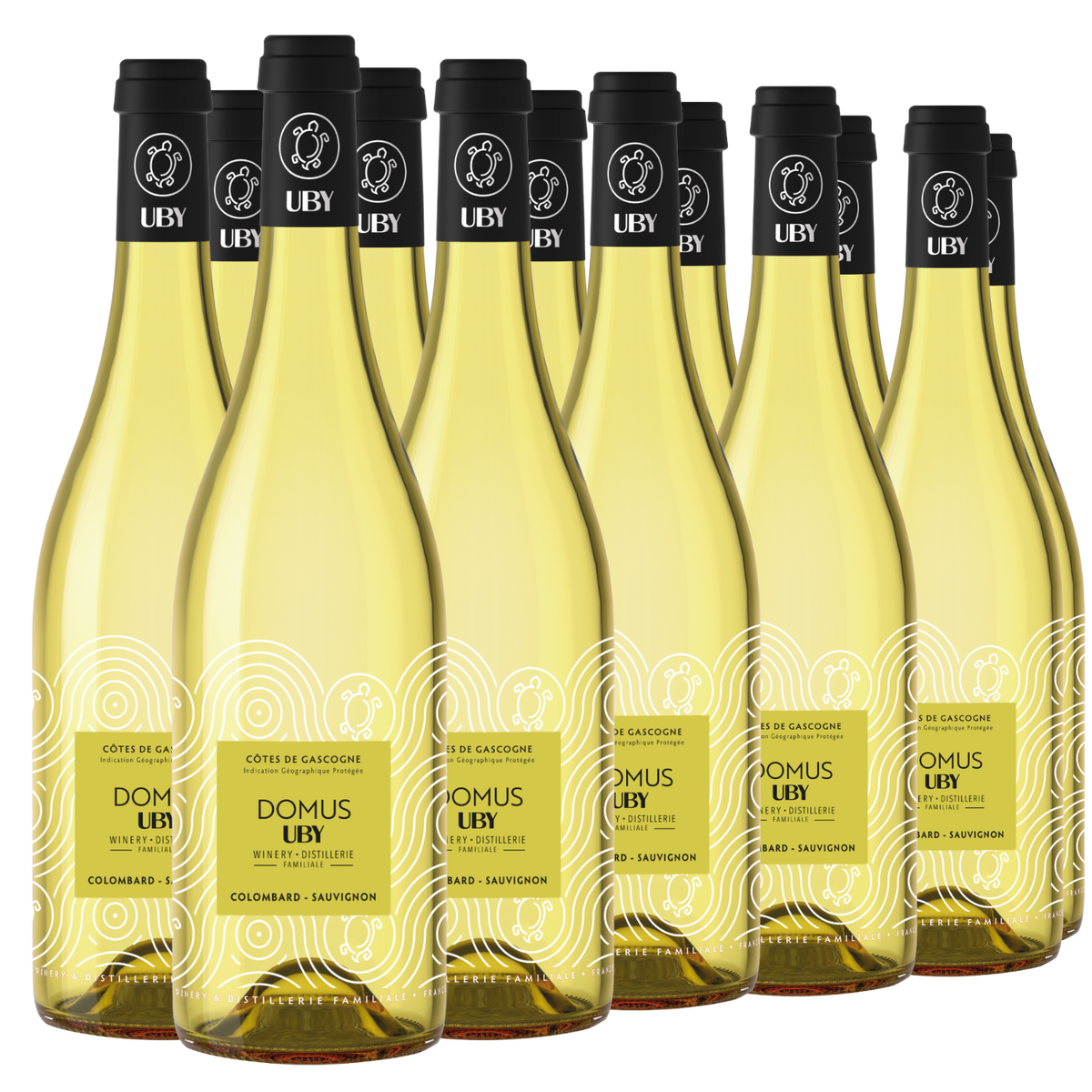 2024 Domus Uby – SZ Erleben